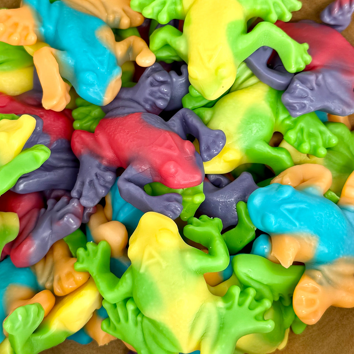Gummi Rainforest Frogs | Jolley's Corner